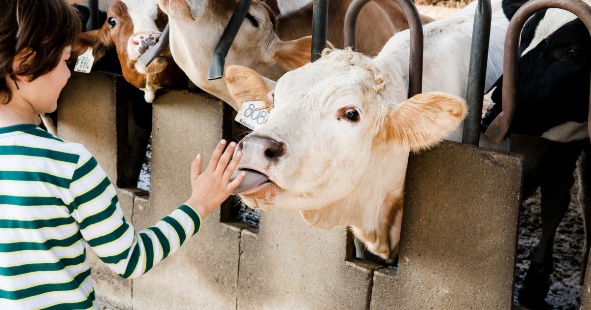 Vallentuna Matmarknad - Vallentuna kommun